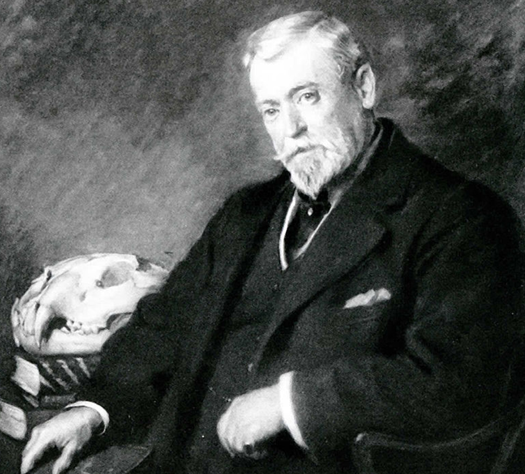 Rowland Ward - Por Eber Gómez Berrade - CAZADOR